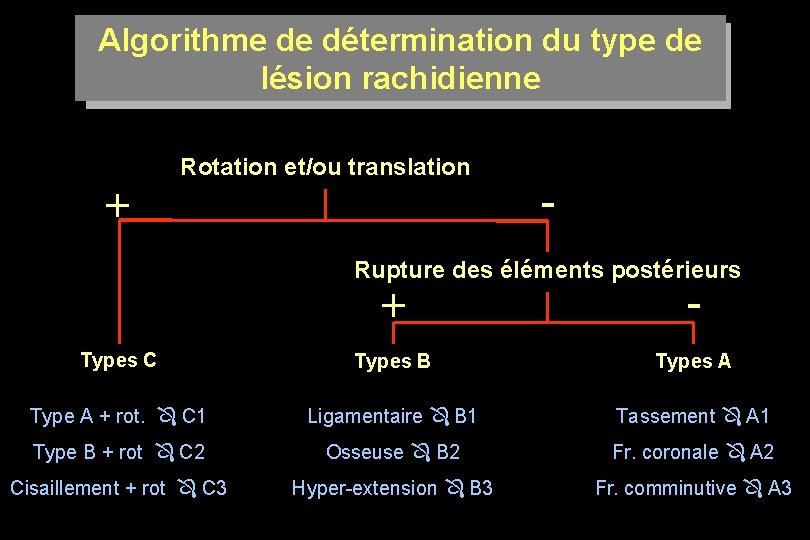 Les fractures du rachis dorsal Samir KHOURY DES