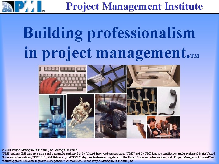 Project Management Institute Building professionalism in project management
