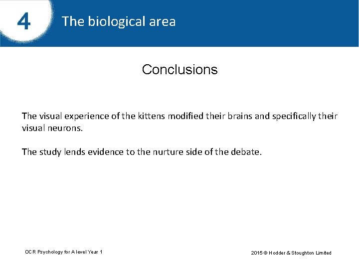 The biological area Blakemore and Cooper 1970 A