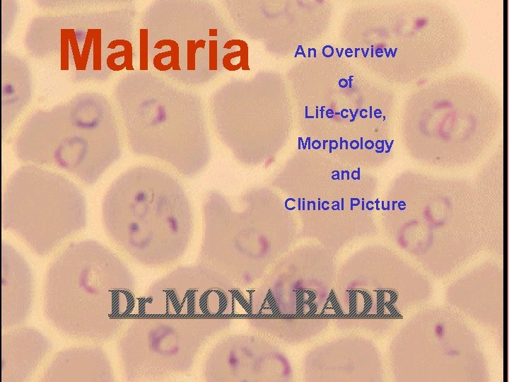 Malaria An Overview of Lifecycle Morphology and Clinical