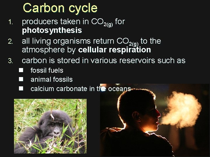 Unit D Living Systems Chapter 1 The biosphere