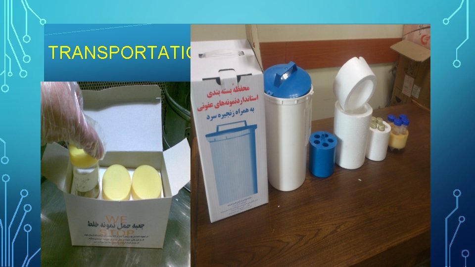 HOW IS TB TRANSMITTED The TB bacilli are