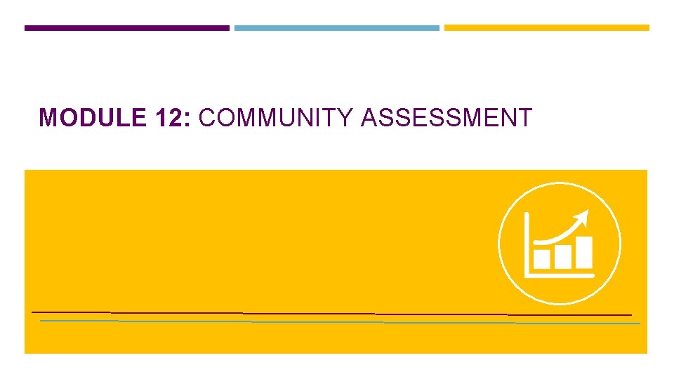 MODULE 12 COMMUNITY ASSESSMENT OUTLINE FOR THIS MODULE