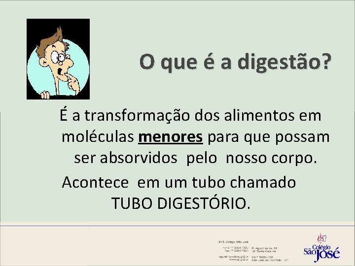 O SISTEMA DIGESTRIO A DIGESTO Prof Branca 8E