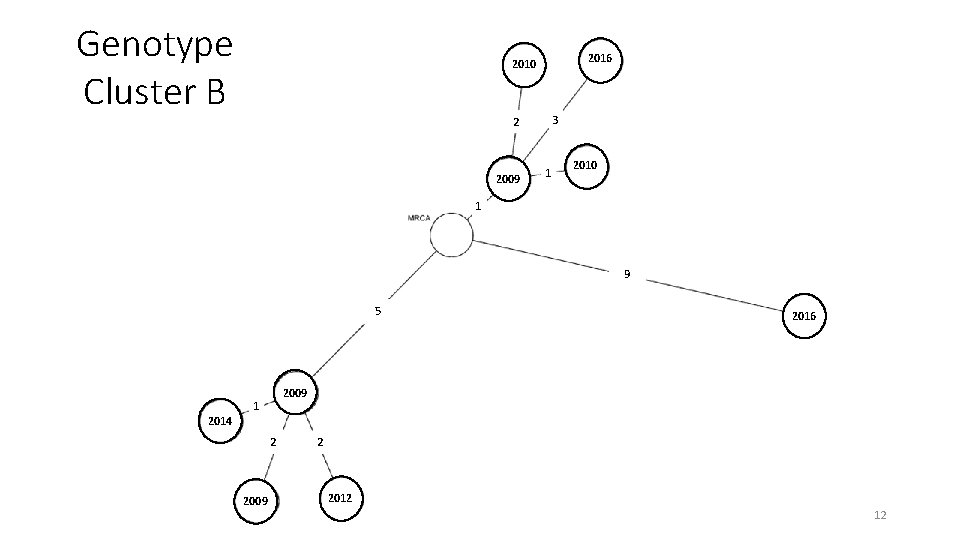 Using Whole Genome Sequencing Analysis in Genotype Cluster
