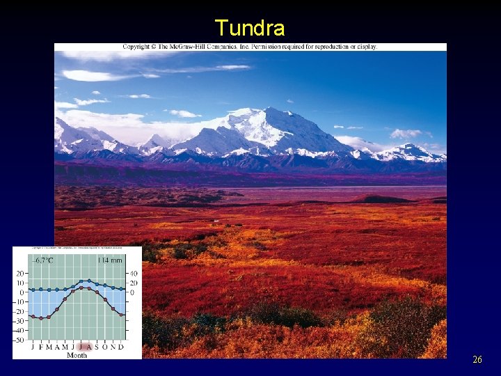Biomes Global Patterns of Life 1 Outline Terrestrial