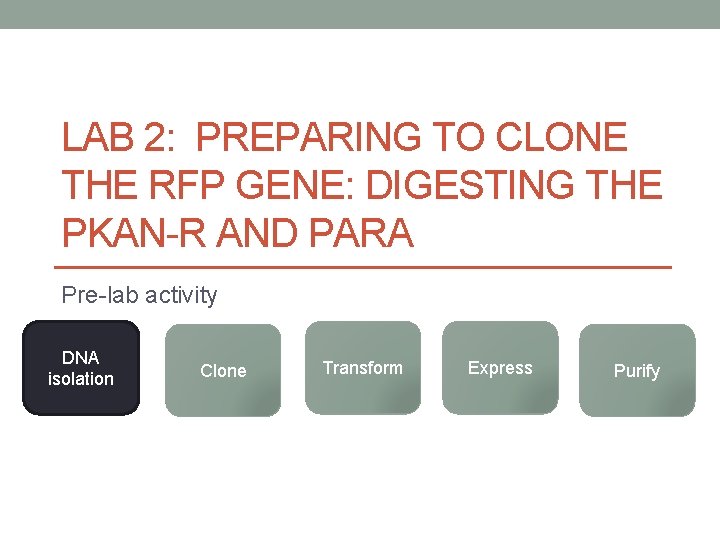 LAB 2 PREPARING TO CLONE THE RFP GENE