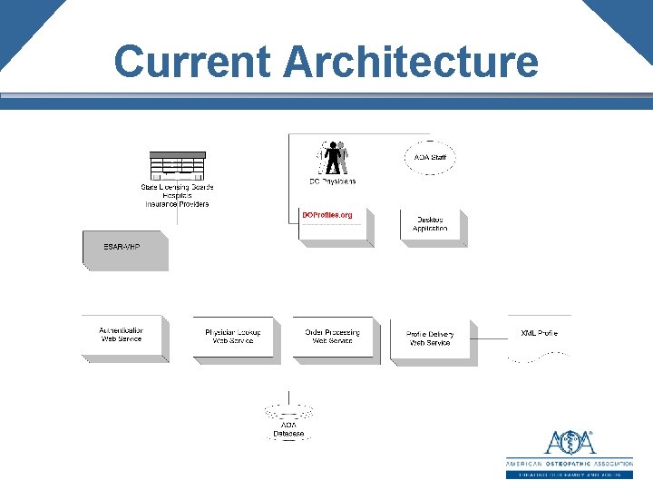 Applying The Professional Profile Standard Annette Gippe American