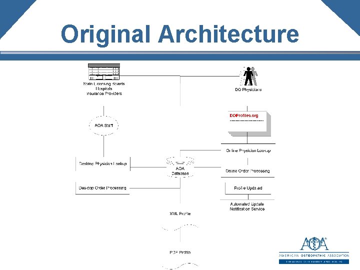 Applying The Professional Profile Standard Annette Gippe American