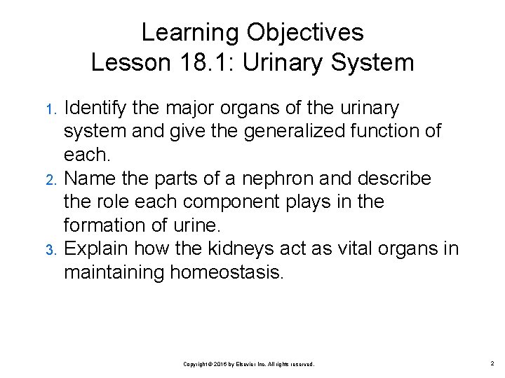 Urinary System Chapter 18 Copyright 2016 by Elsevier