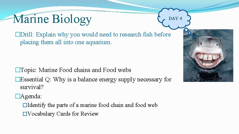 Marine Biology DAY 4 Drill Explain why you
