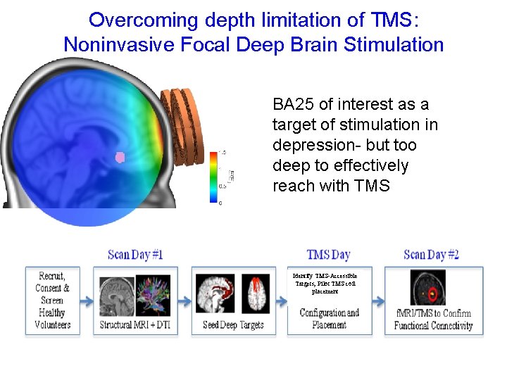 TMS as a Tool for Neuroscience Bruce Luber