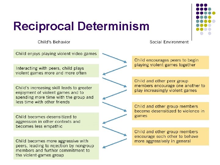 Theories of Social Development How Children Develop 3