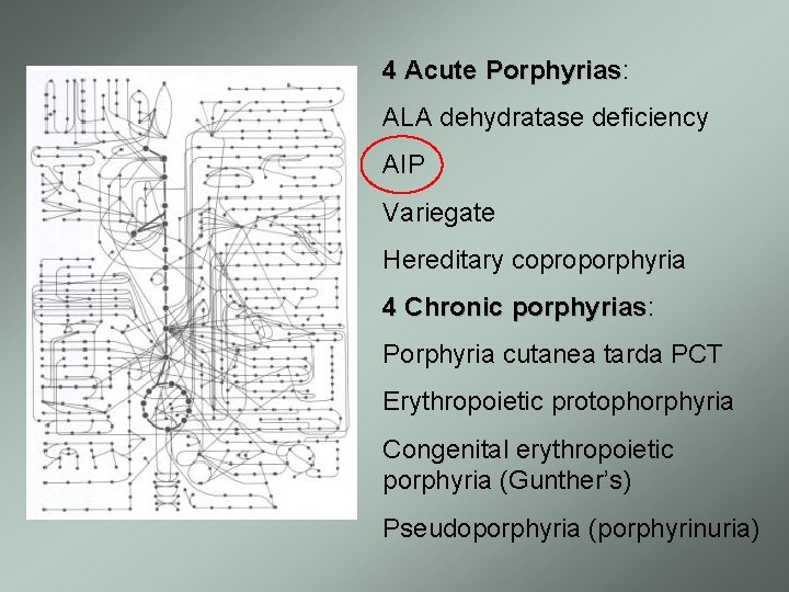 Behavioural Aspects of Acute Intermittent Porphyria A Luder
