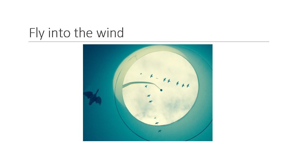 From the ordinary to the extraordinary A CAREER