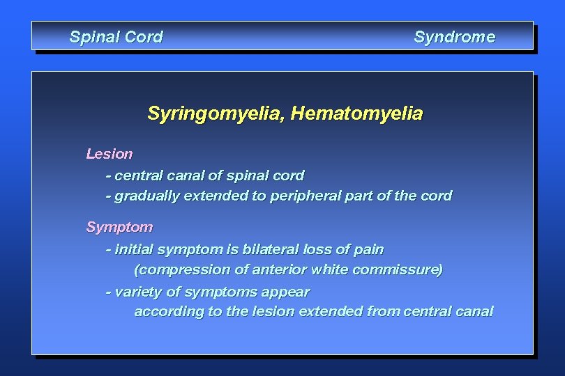 Anatomy of the Spinal Cord Structure of the