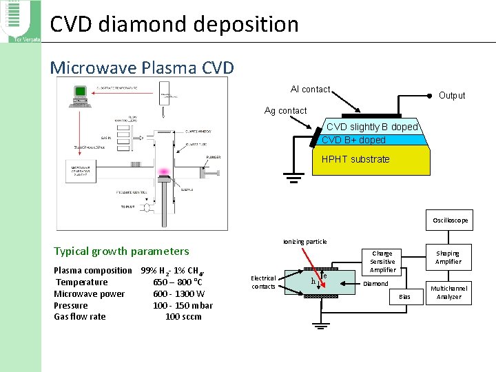 Single crystal diamond detectors Gianluca Verona Rinati Dipartimento
