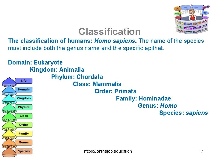 Learning about Animals https onthejob education 1 Critical