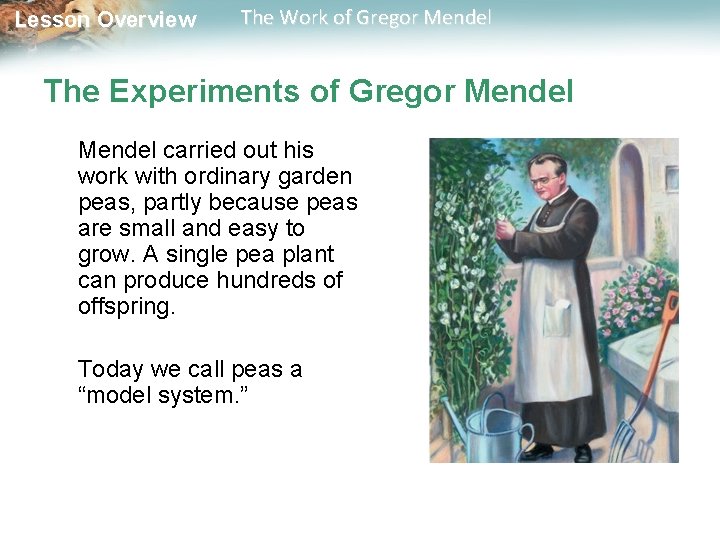 Lesson Overview The Work of Gregor Mendel Lesson