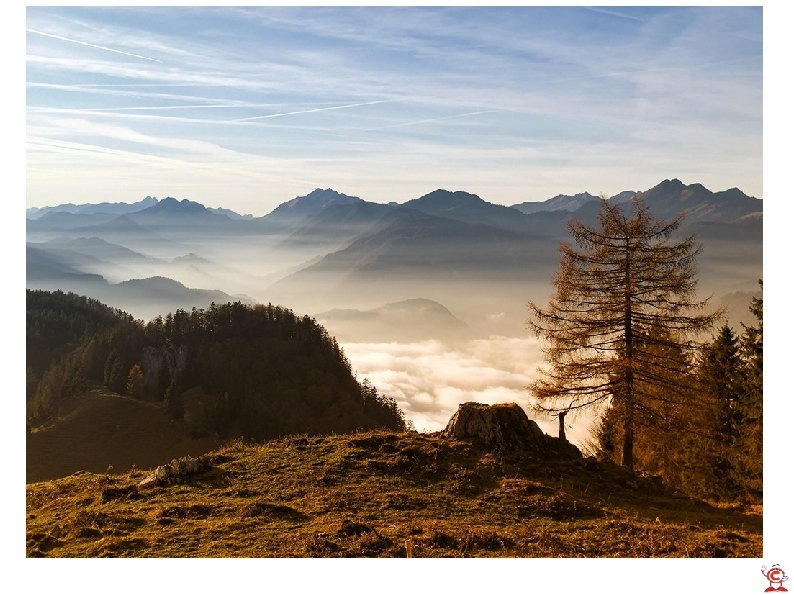 50 Jahre Nationalpark Bayerischer Wald 102020 oldchurch Geografisch