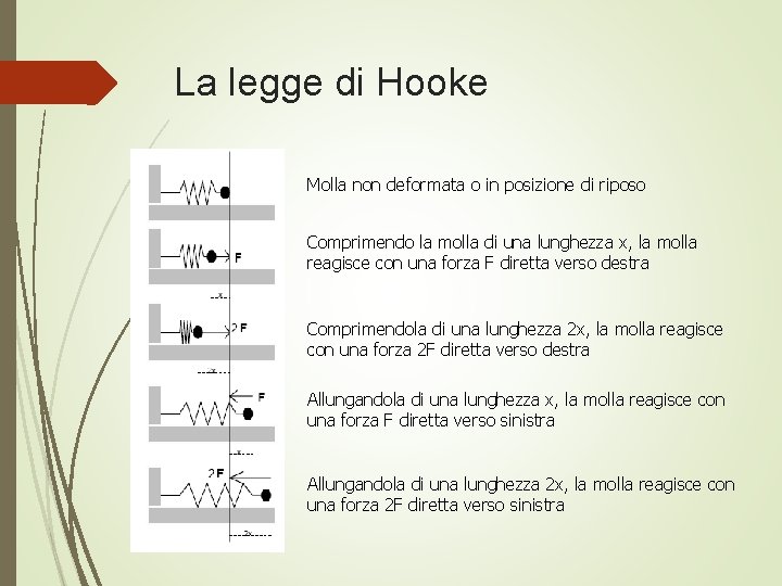 La legge di Hooke Preparazione allesperimento Guida per