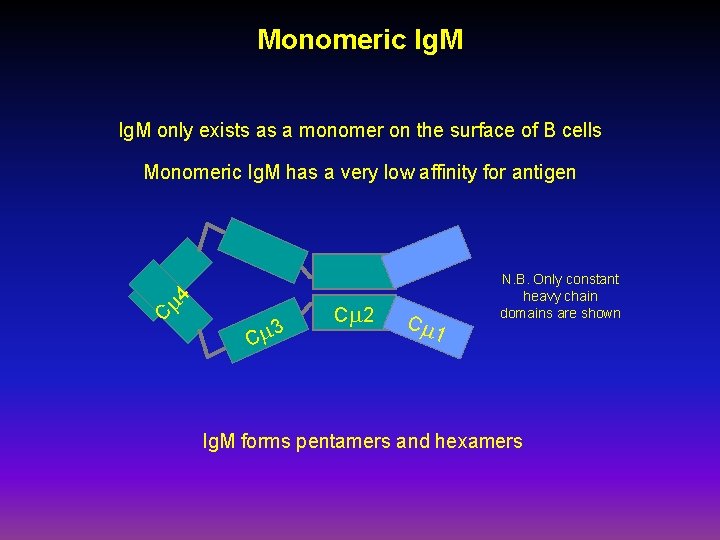 Humoral Immunity Immunoglobulin Structure and Function Dr Adel