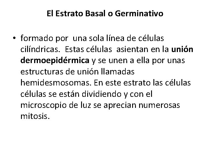 Histologa de la piel La piel es un