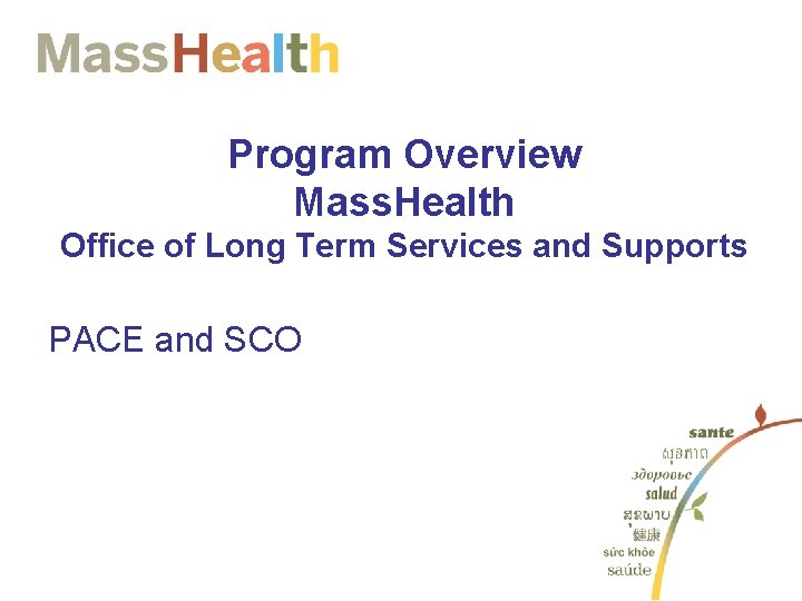 Program Overview Mass Health Office of Long Term