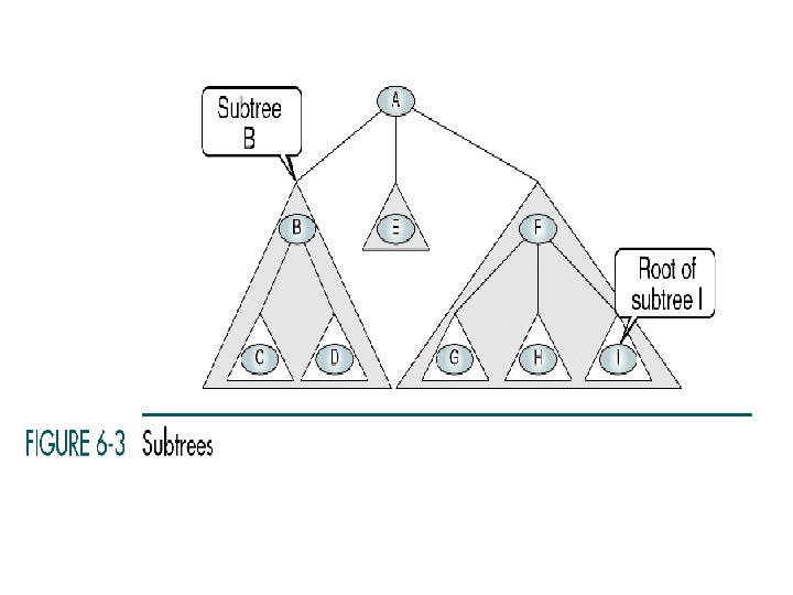 Chapter 5 Trees Basic Tree Concepts b A