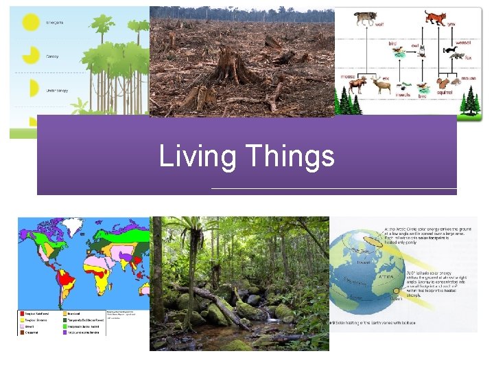 Living Things Ecosystems An ecosystem is made up