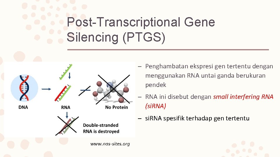 Pertemuan 4 RNA Interference RNAi Dr Henny Saraswati