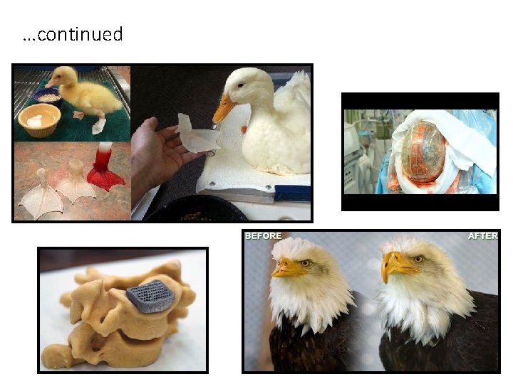 Introduction to 3 D Printing Nicholas Eastham University