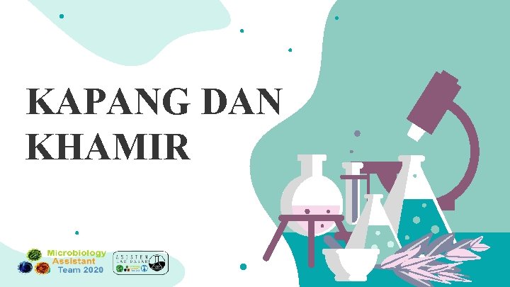 KAPANG DAN KHAMIR SEL KAPANG Sifat sel kapang