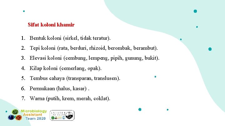 KAPANG DAN KHAMIR SEL KAPANG Sifat sel kapang