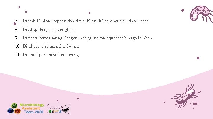 KAPANG DAN KHAMIR SEL KAPANG Sifat sel kapang