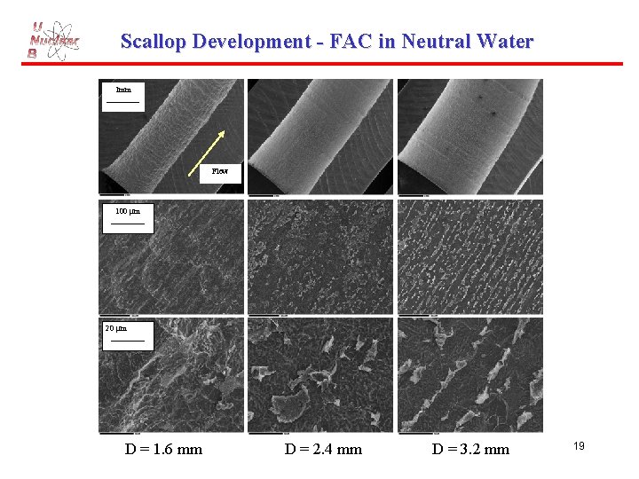 FlowAccelerated Corrosion under FeedWater Conditions by Derek Lister