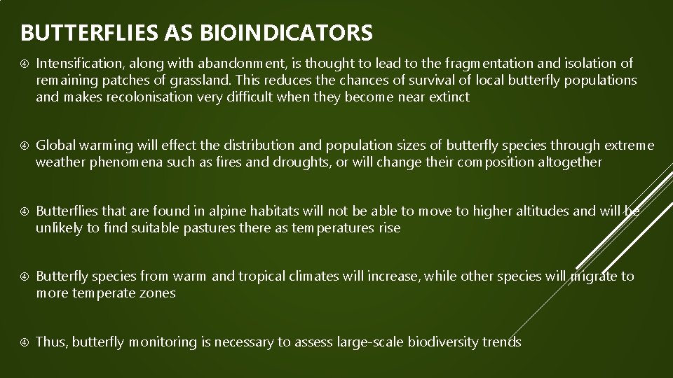 BUTTERFLY MONITORING PRINCIPLES AND METHODOLOGY Husein Zorkot HHI