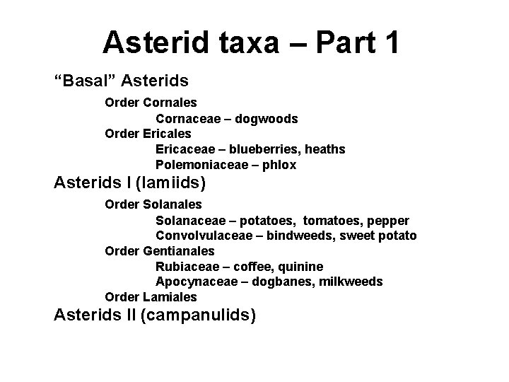 Asterids Part 1 Basal Asterids Asterids I Lamiids