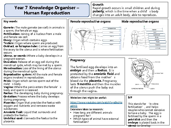 Year 7 Knowledge Organiser Human Reproduction Key words