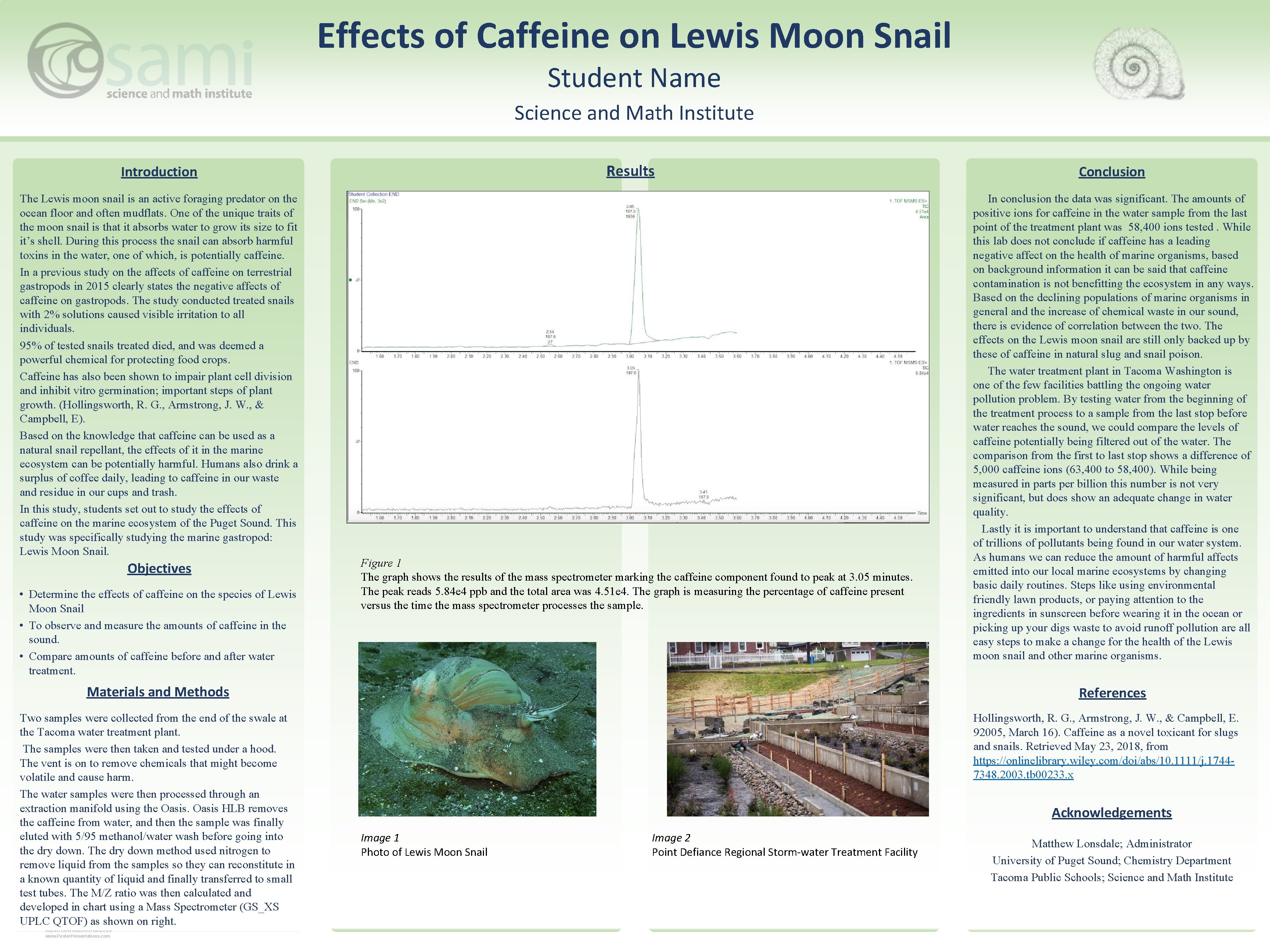 Effects of Caffeine on Lewis Moon Snail Student