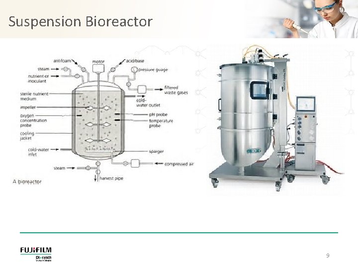 Bacteria Viruses Cells All in a Days Work