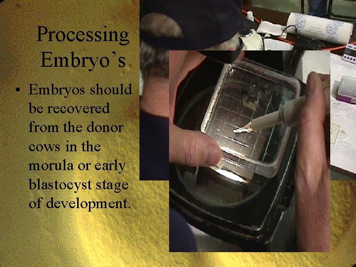 ET Embryo Transfer Embryo Transfer 5 Major Hormones