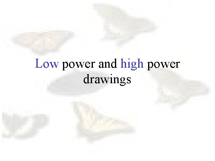 TAS Requirements for Biological drawings According to TAS