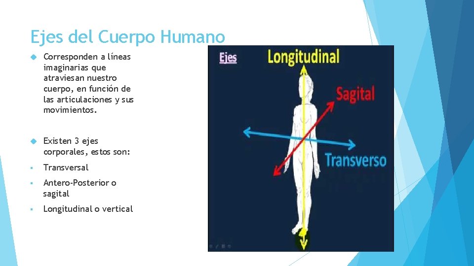 UNIDAD 1 GUA 1 OBJETIVO Conocer e identificar