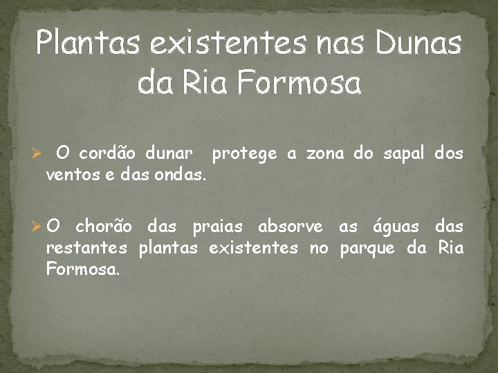 Sapal e Dunas da Ria Formosa Trabalho realizado
