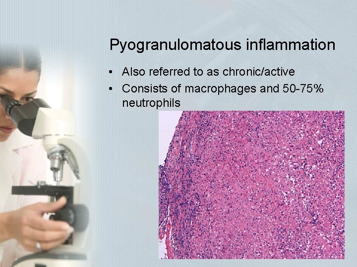 Cytological Examination Part II Clinical Pathology Microscopic Evaluation