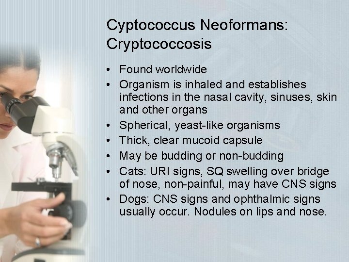 Cytological Examination Part II Clinical Pathology Microscopic Evaluation