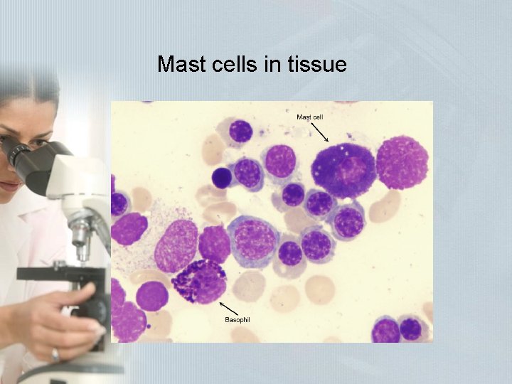 Cytological Examination Part II Clinical Pathology Microscopic Evaluation