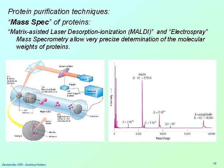 Biochemistry 3070 Exploring Proteins 1 Every living cell