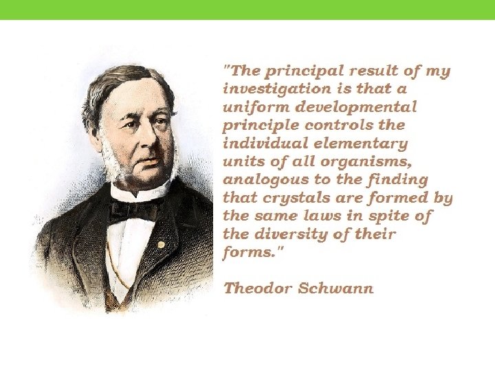 HISTORY OF PLANT TISSUE CULTURE CELL TISSUE CULTURE